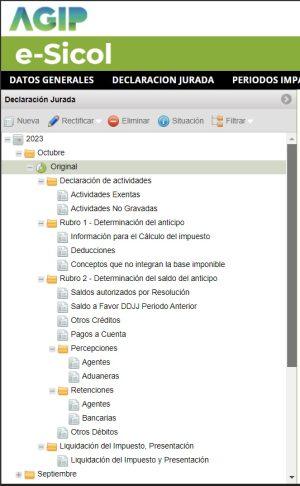 Liquidación ingresos brutos con el aplicativo e-SICOL (CABA | AGIP ...